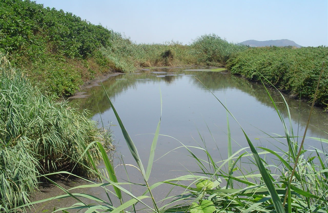ABAQUA impulsa el proyecto para la mejora del sistema restitución del ...